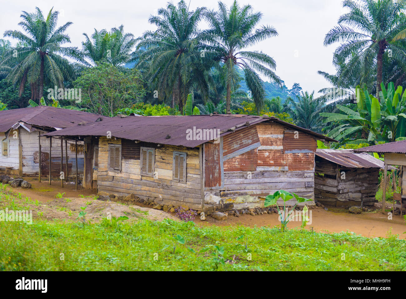 Almost destroyed houses in jungle of Cameroon where people live Stock ...