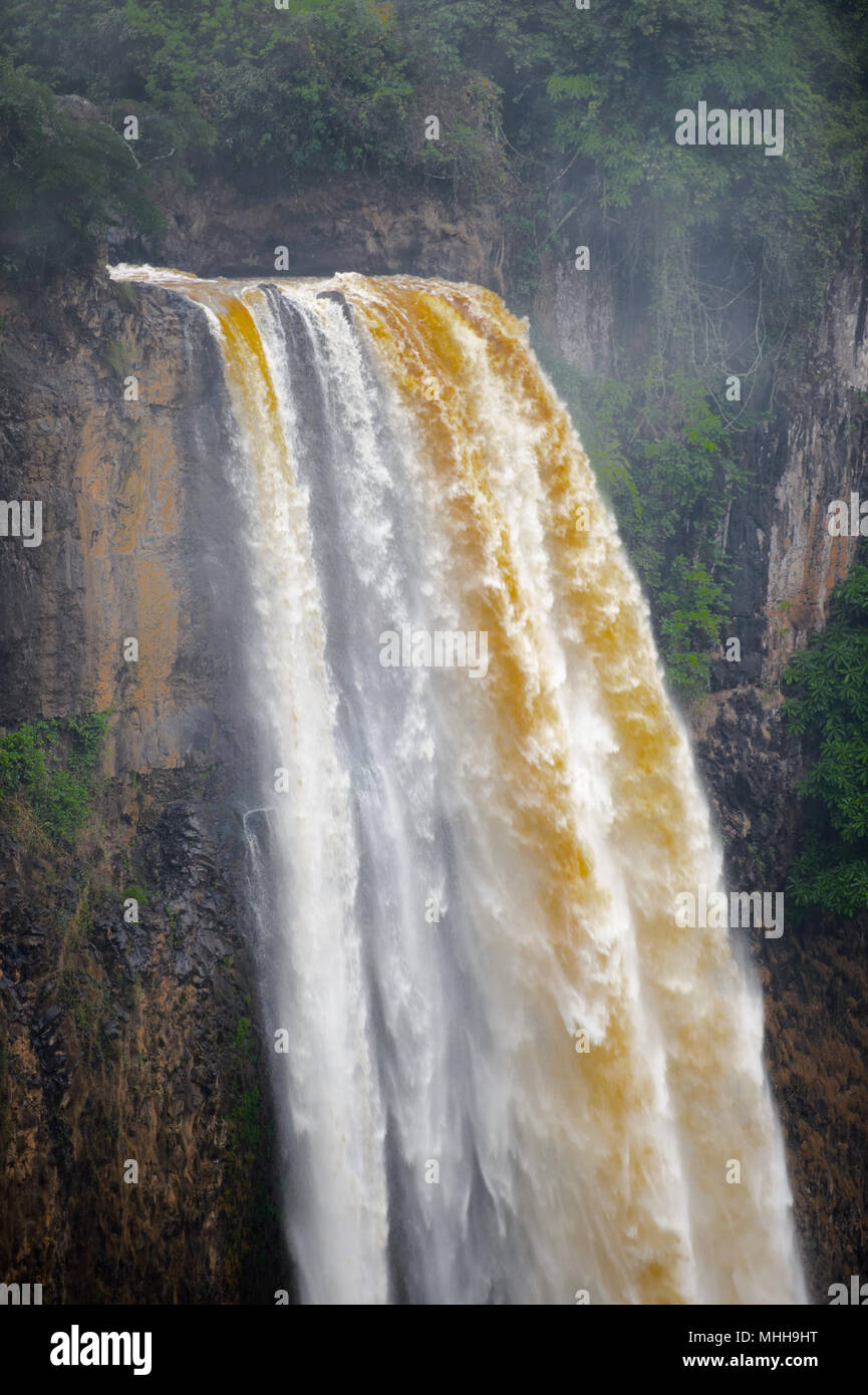 African wonder tree hi-res stock photography and images - Alamy