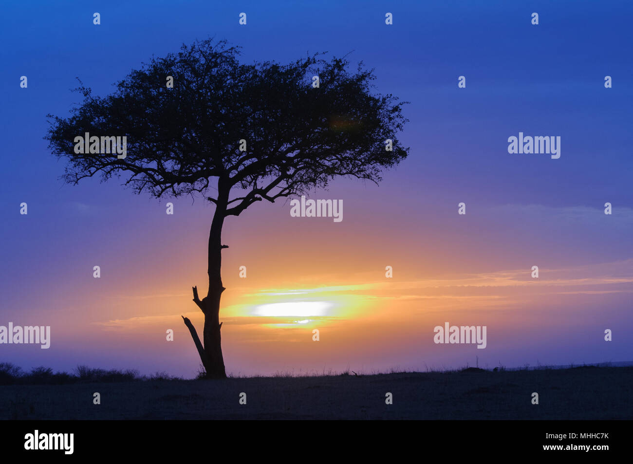 Sunset in Kenya Stock Photo - Alamy