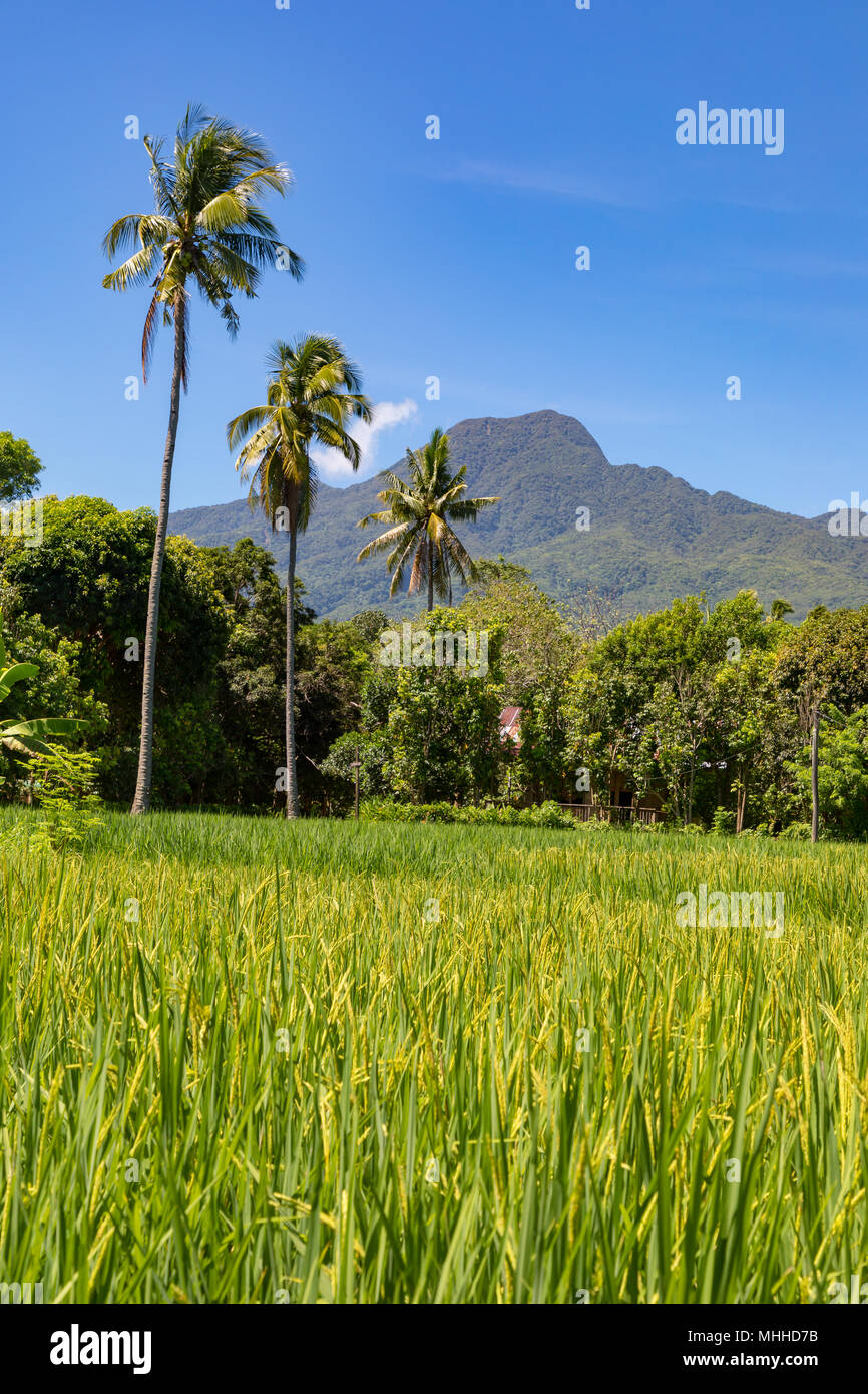 Camiguin Philippines April 24, 2018 Mountain scenery, showing Mount ...