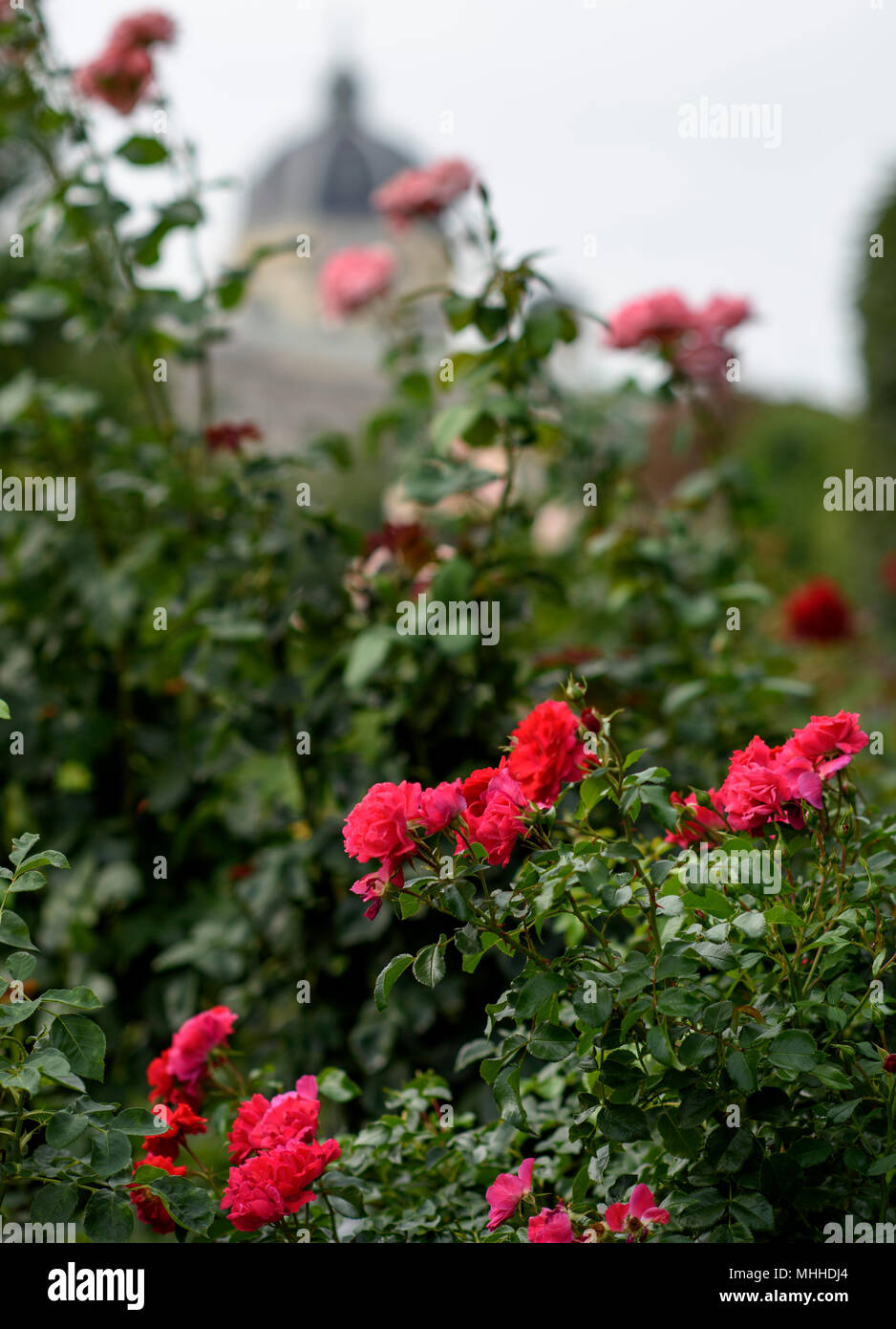 Wien volksgarten hi-res stock photography and images - Alamy
