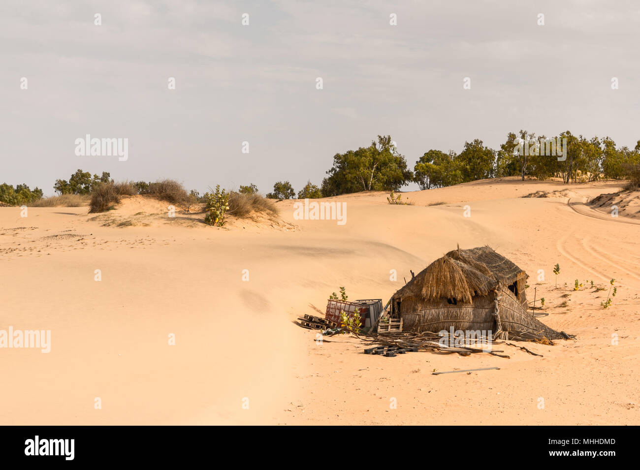 Sahara desert in Senegal, Africa Stock Photo - Alamy