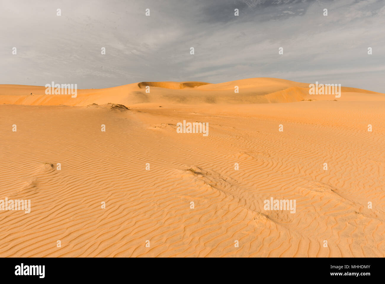 Nature of the Sahara desert in Senegal, Africa Stock Photo - Alamy