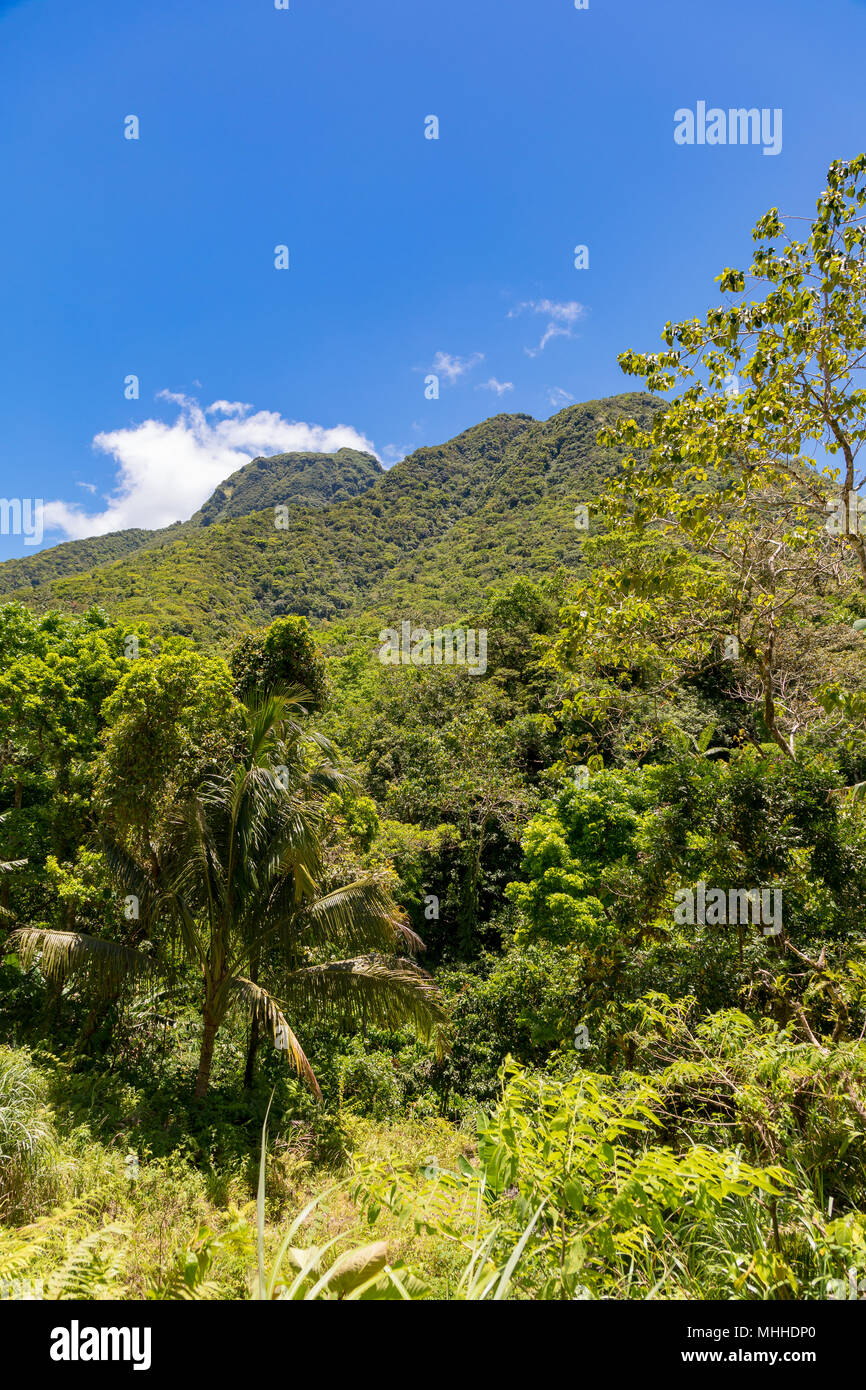 Camiguin Philippines April 24, 2018 Mountain scenery, showing ...