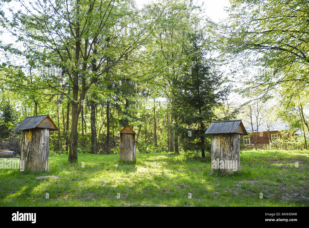 Ancient beehives in the middle of forest glade, made from trunk of tree ...