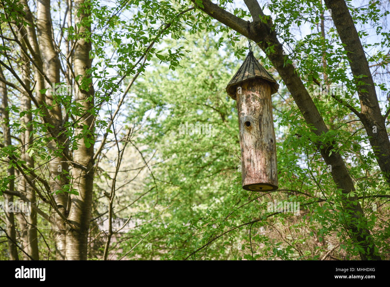 Ancient hive hanging on the tree, made from trunk of tree, named the ...