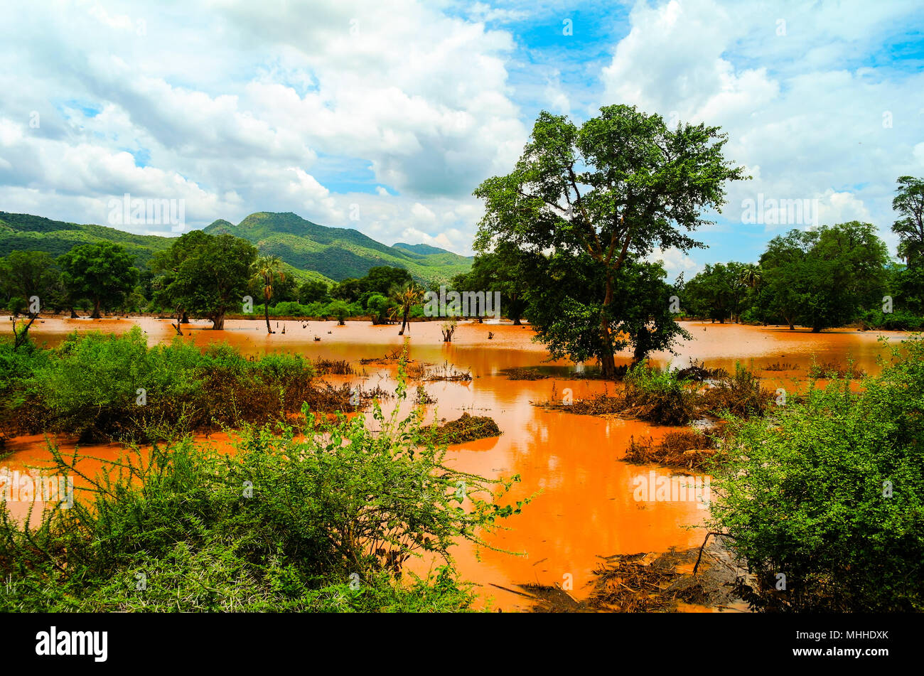 Landscape of red swamp Weito river, Ethiopia Stock Photo - Alamy