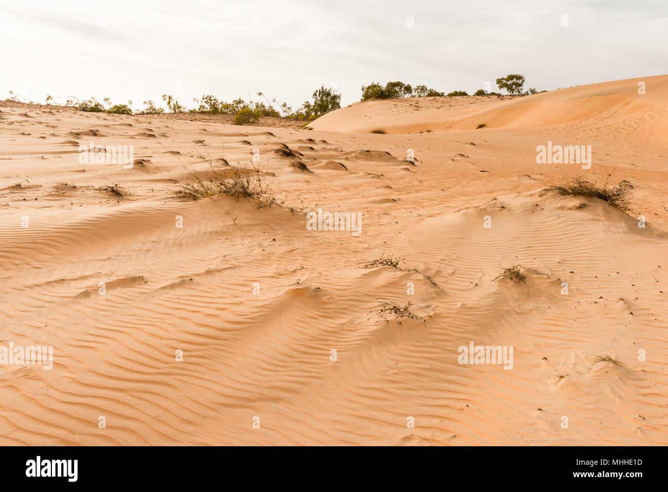 Sahara desert, Africa Stock Photo - Alamy