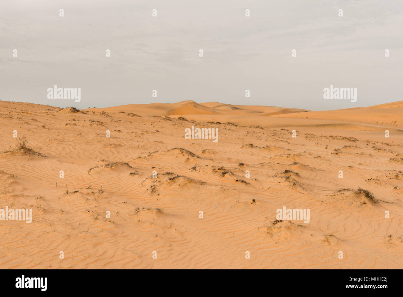 Sahara desert, Africa Stock Photo - Alamy