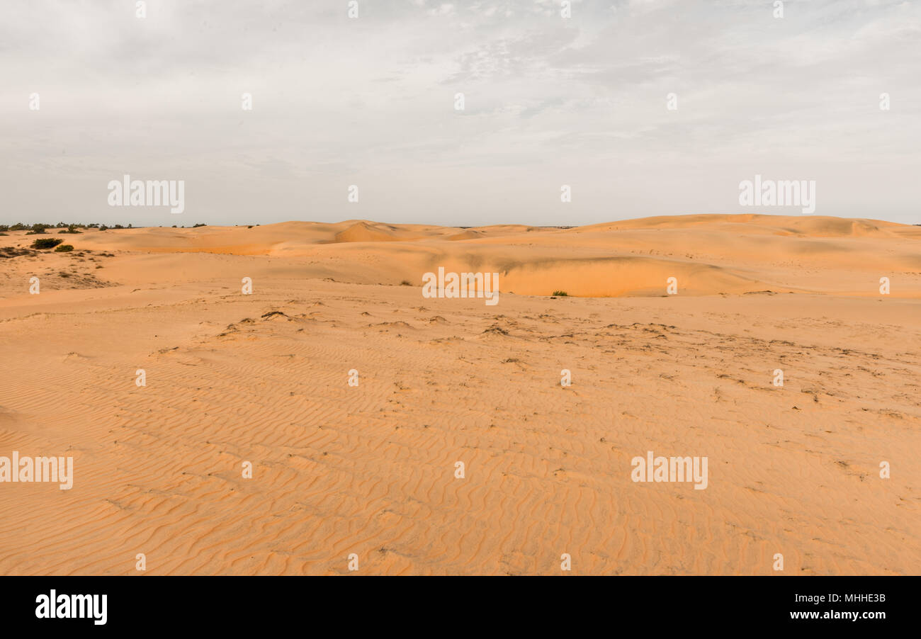 Sahara desert, Africa Stock Photo - Alamy