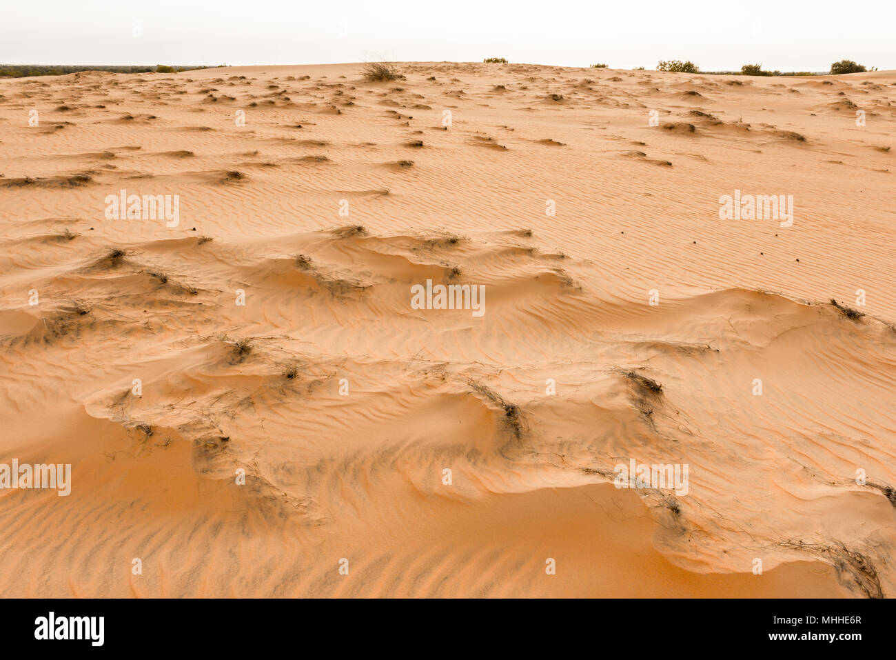 Sahara desert, Africa Stock Photo - Alamy