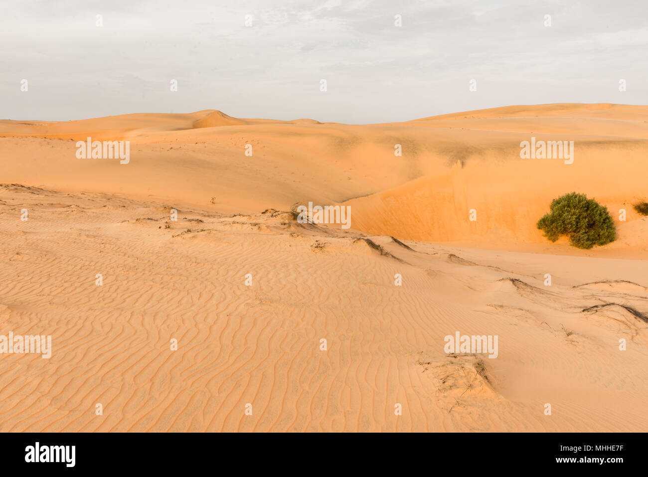 Sahara desert, Africa Stock Photo - Alamy