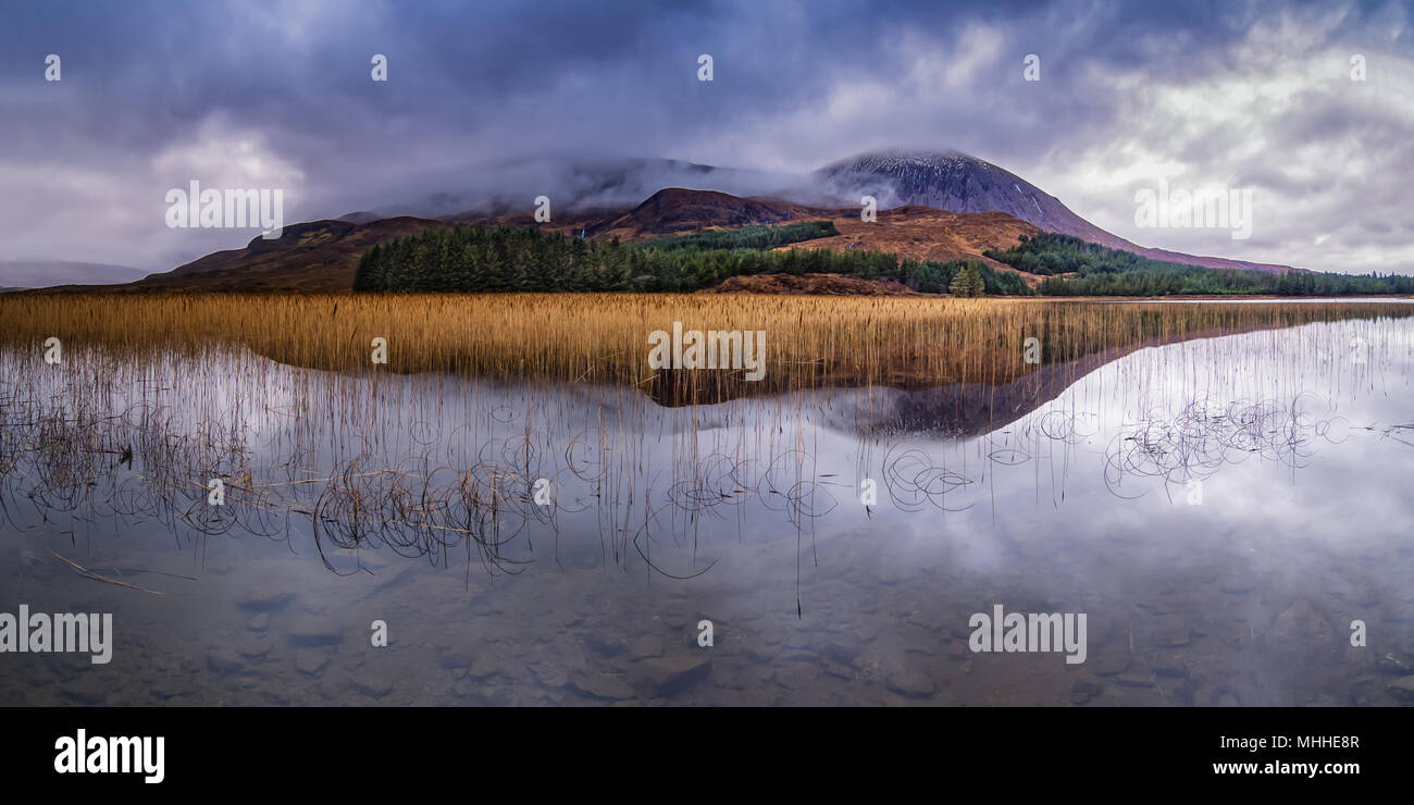 2x1 dimensions hi-res stock photography and images - Alamy