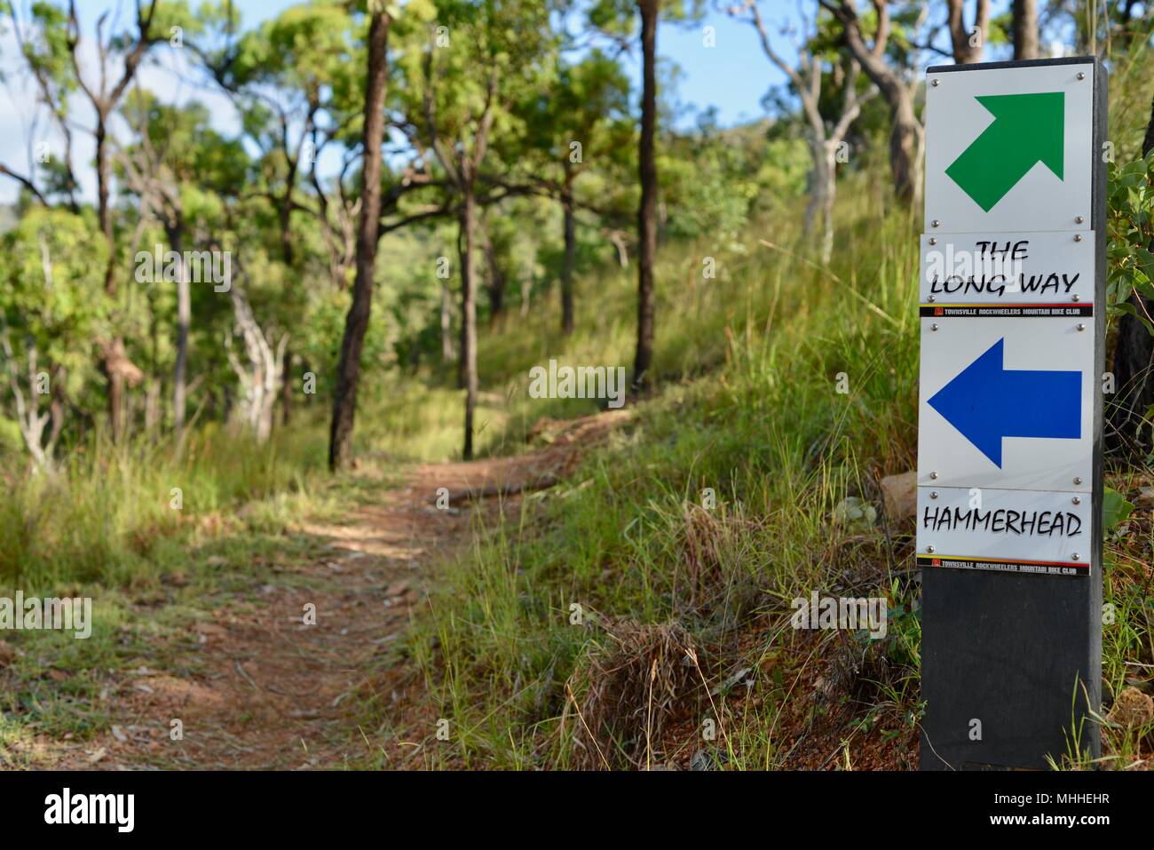 Gravel path through a wooded grass plain hi-res stock photography and ...