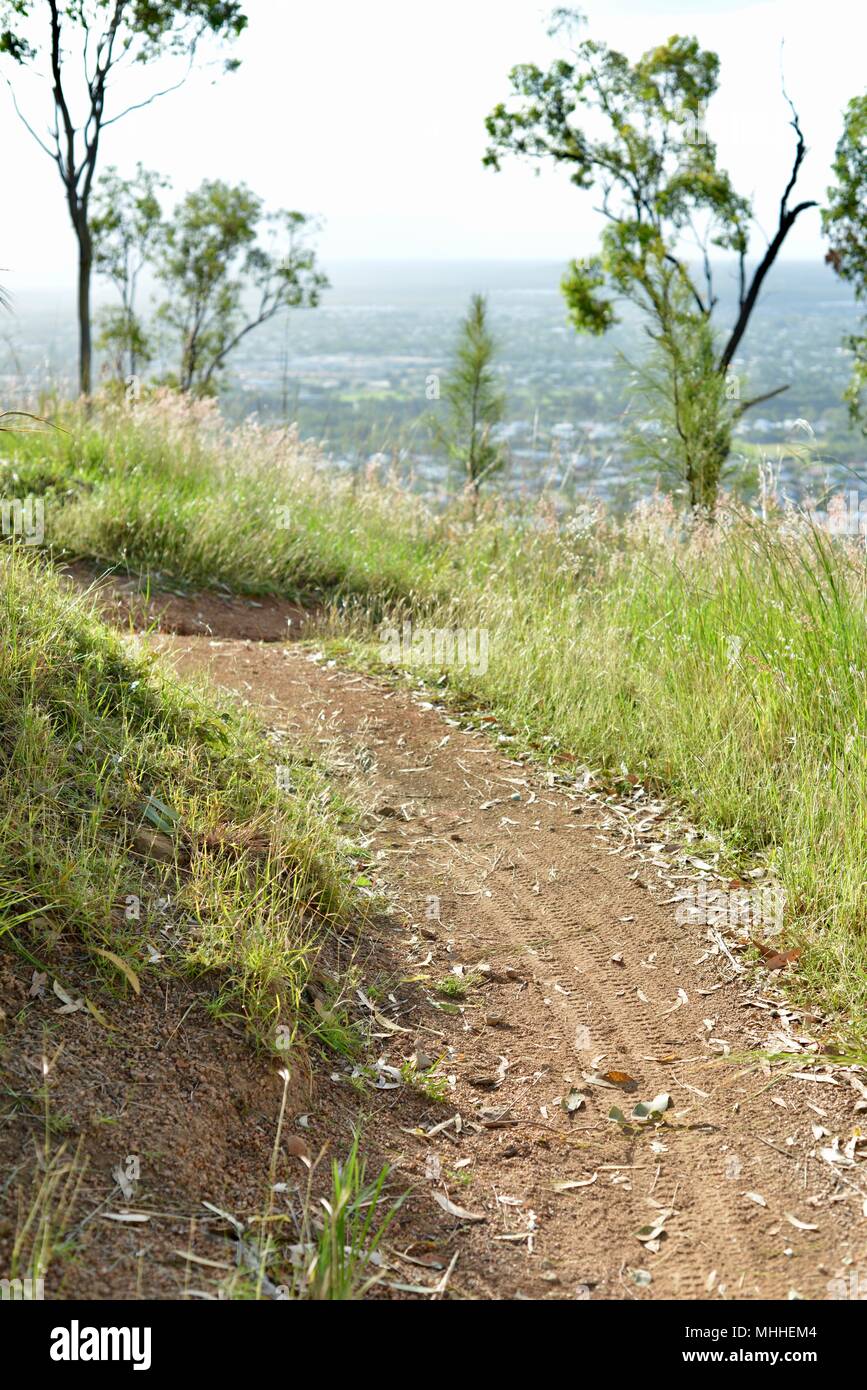 Mount Stuart Long grass with seeding heads overhanging a gravel path in ...