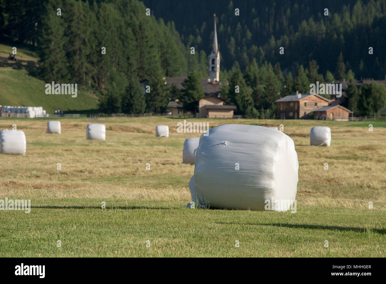 Switzerland farm summer hay hi-res stock photography and images - Alamy
