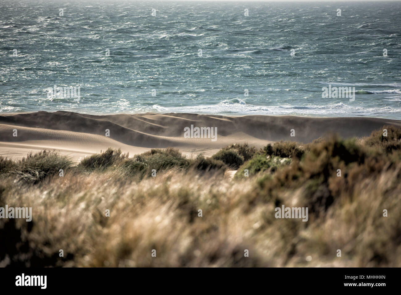 atlantic ocean waves in Patagonia, Argentina Stock Photo - Alamy