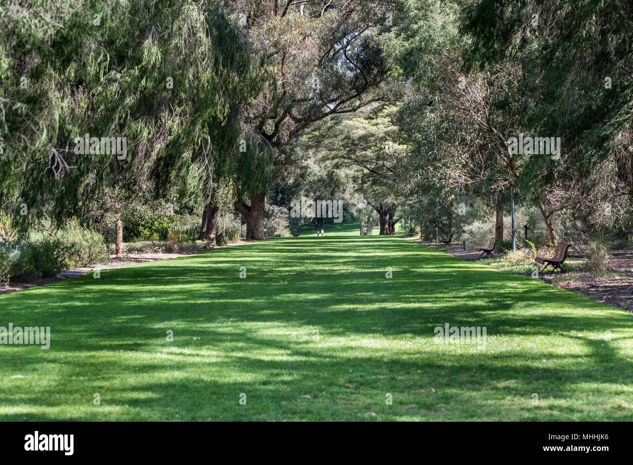 perth botanic gardens green fields Stock Photo - Alamy