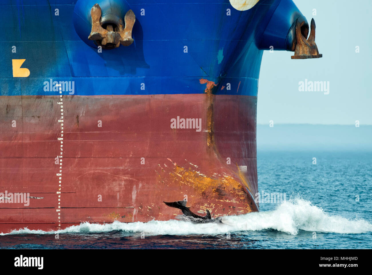 Ship bow with dolphin hi-res stock photography and images - Alamy