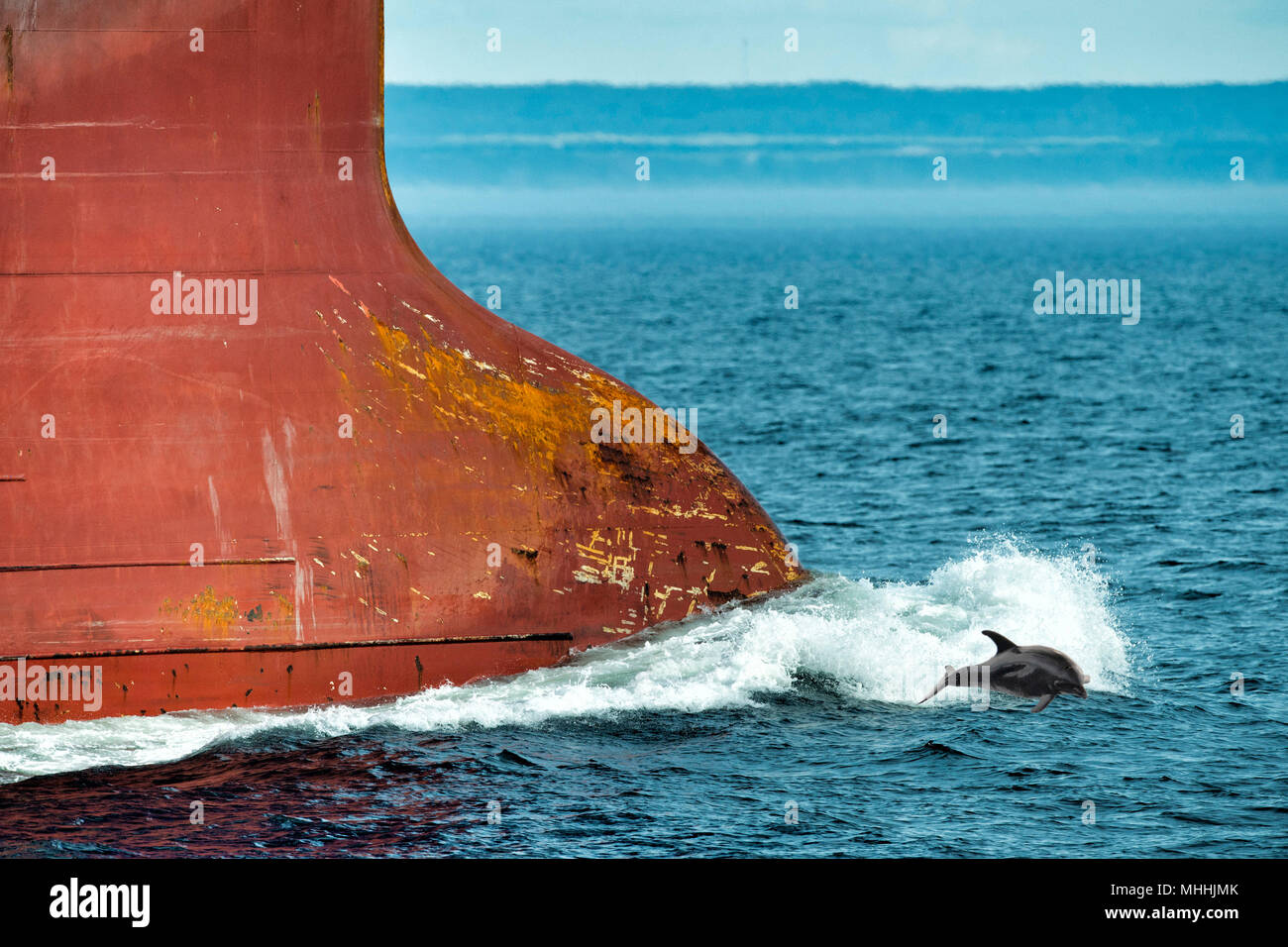 Ship bow with dolphin hi-res stock photography and images - Alamy