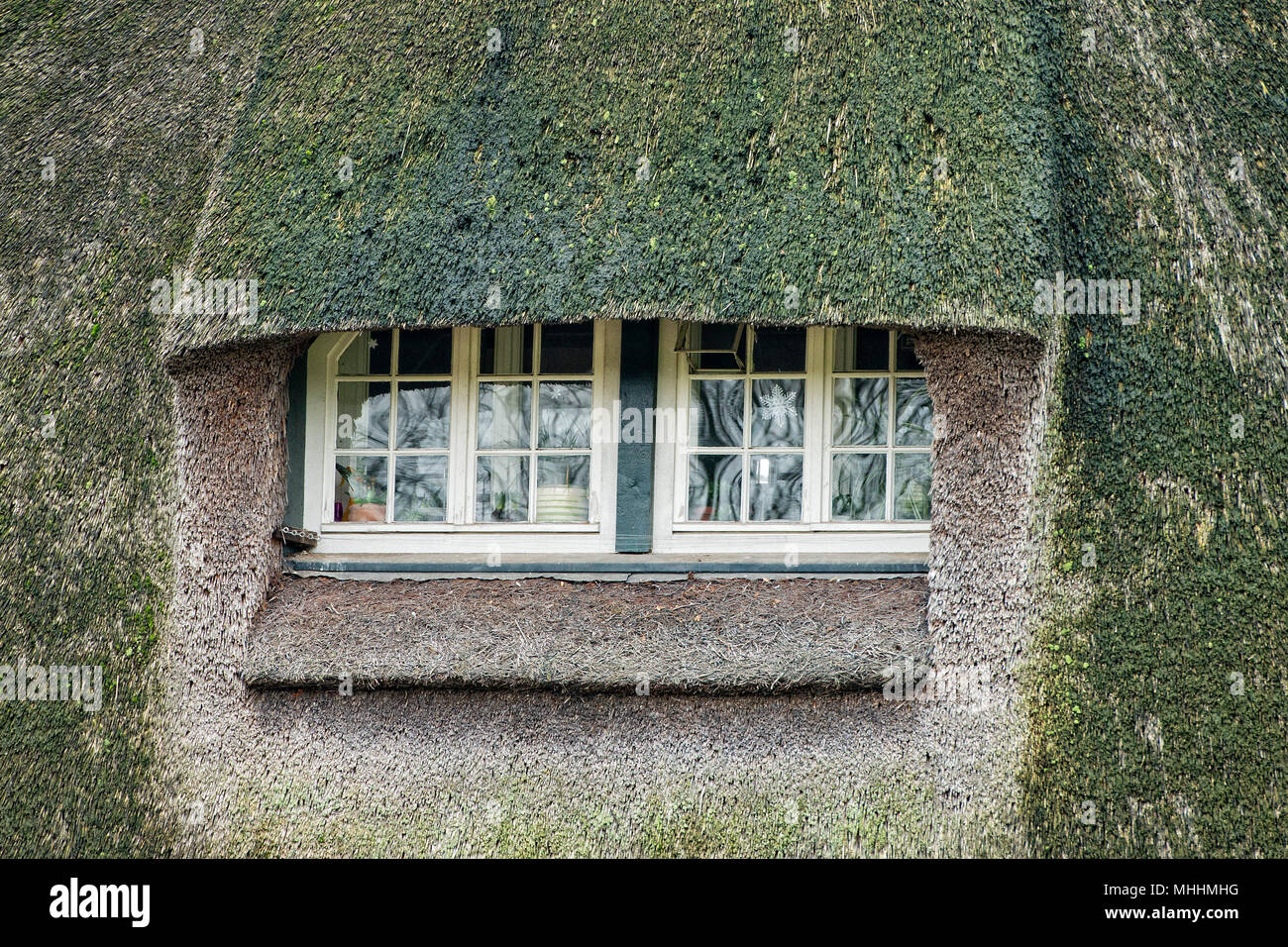 Hobbit house window hi-res stock photography and images - Alamy