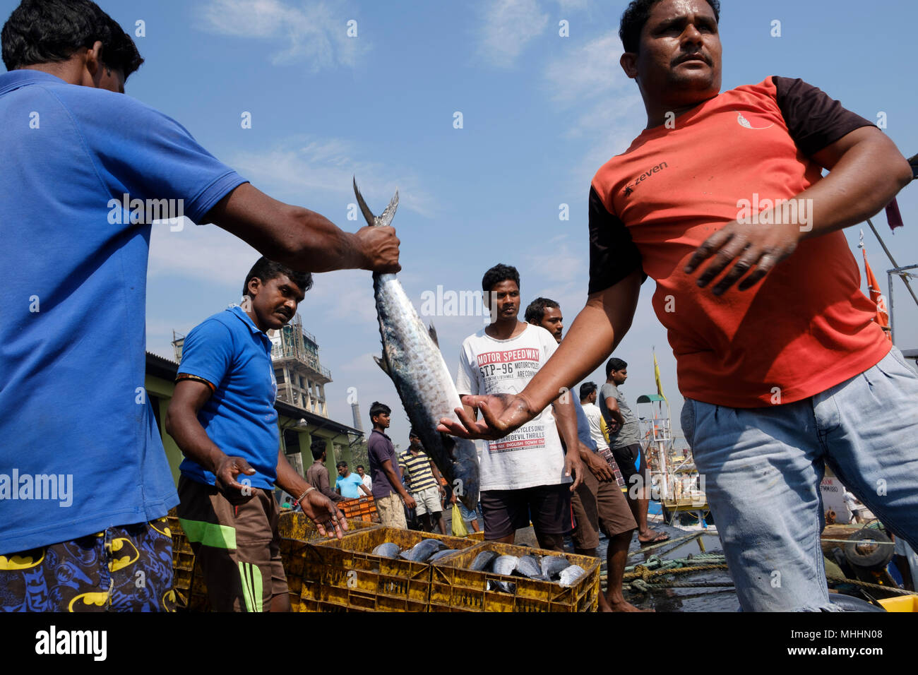 Fishermen loading and unloading their catch at Sassoon Dock, Mumbai ...