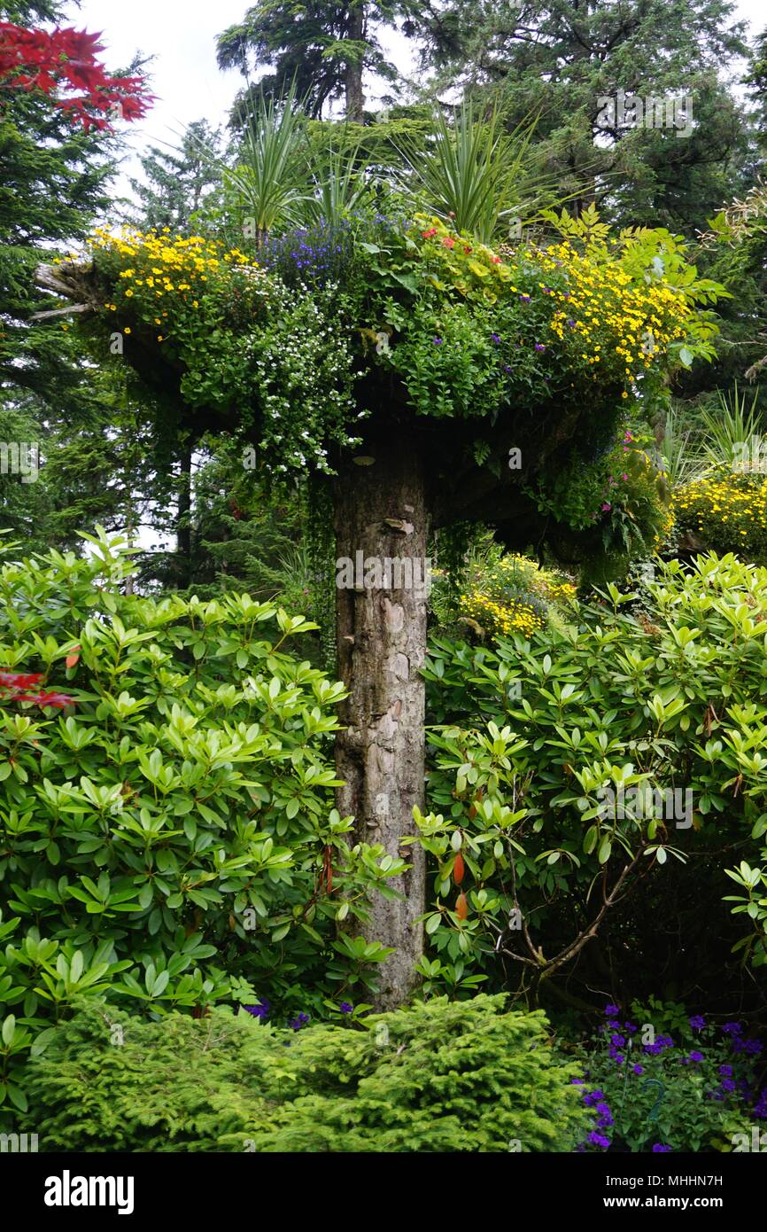 Juneau, Alaska: Glacier Gardens, a botanical garden in the Tongass ...