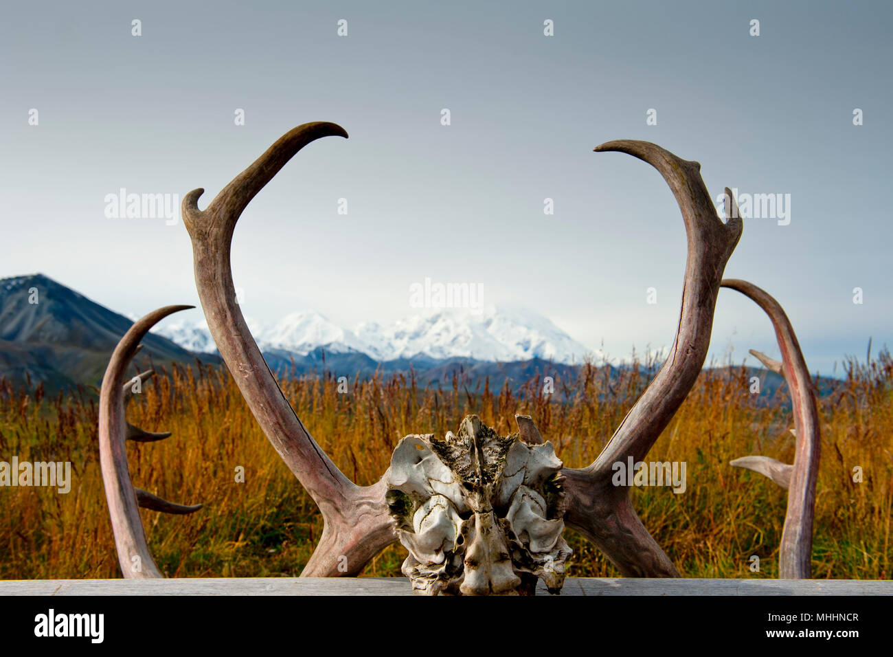 Aerial view of mt denali hi-res stock photography and images - Alamy