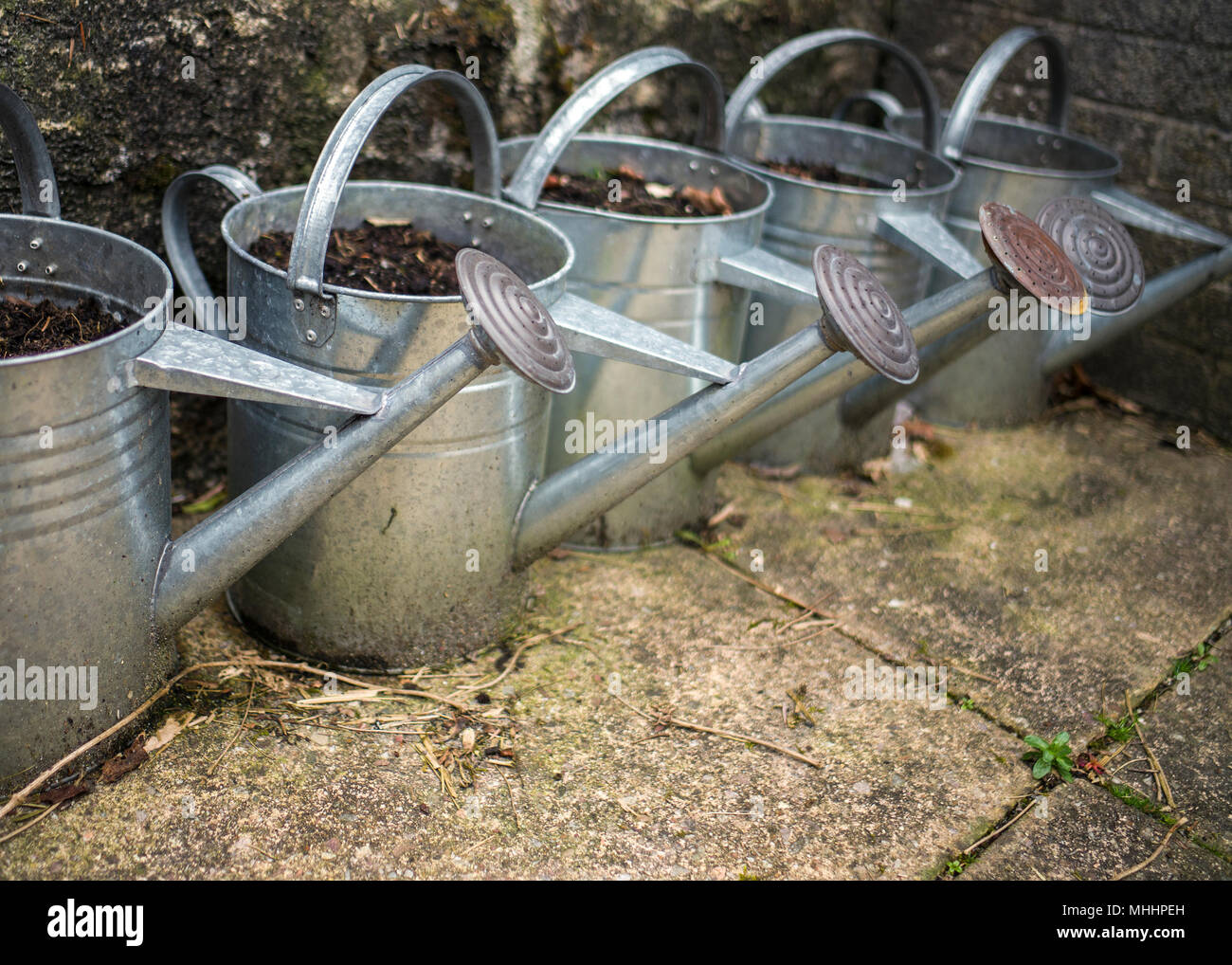 row of metal watering cans filled with soil used as planters Stock ...