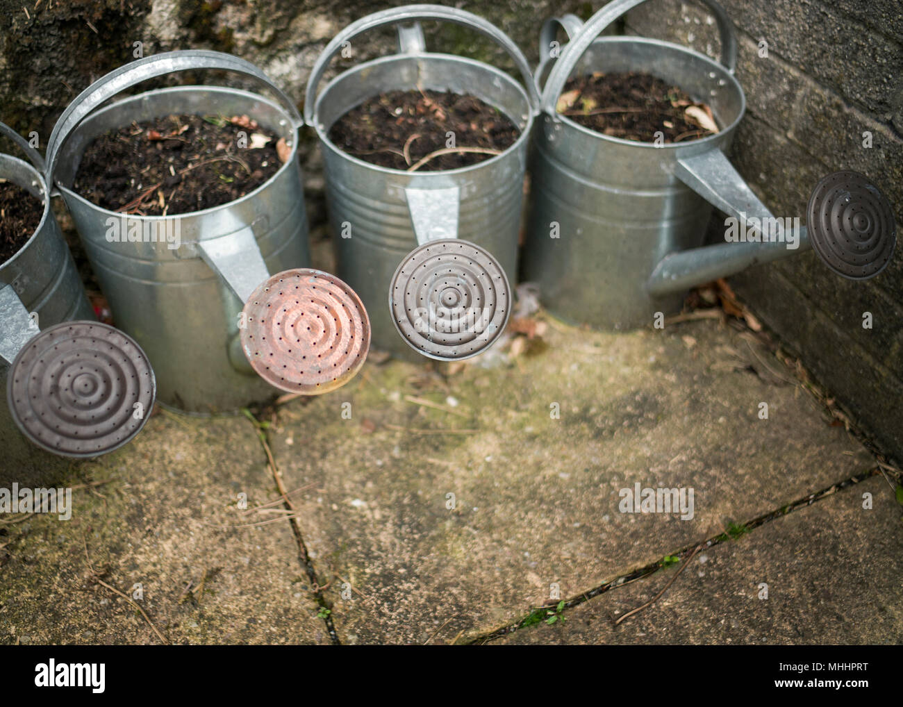 row of metal watering cans filled with soil used as planters Stock ...