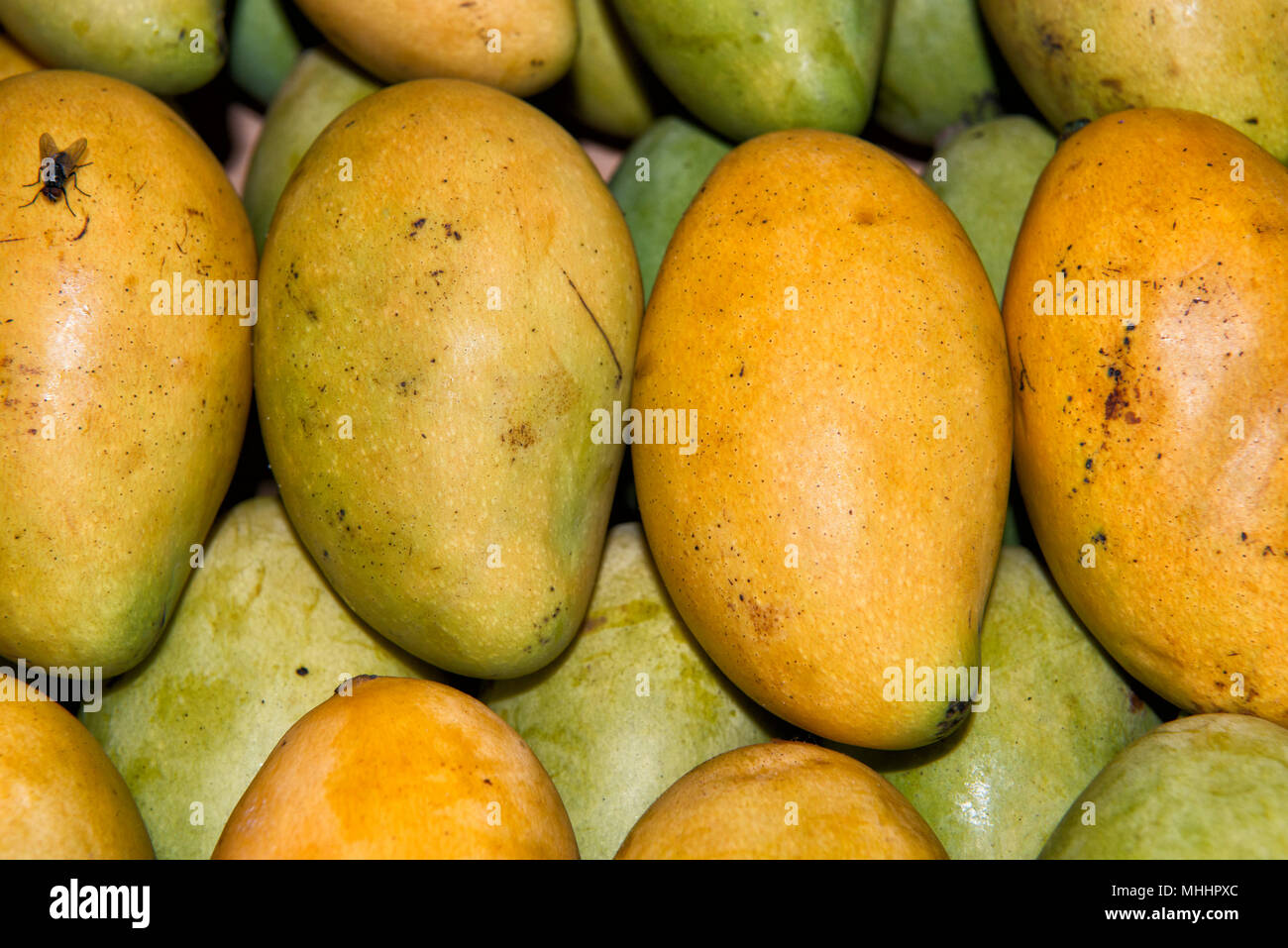 fresh mango fruit at the market Stock Photo - Alamy