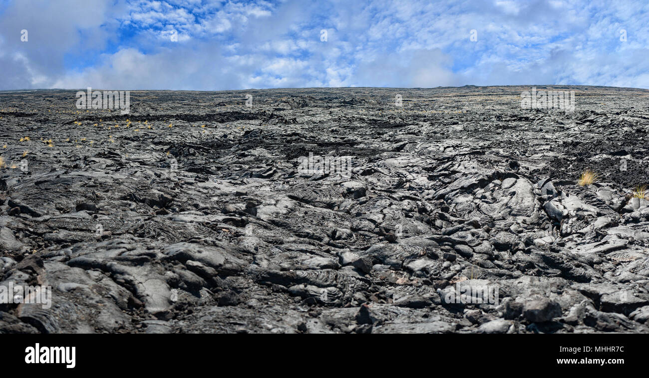 petrified black lava shore in big island hawaii Stock Photo - Alamy