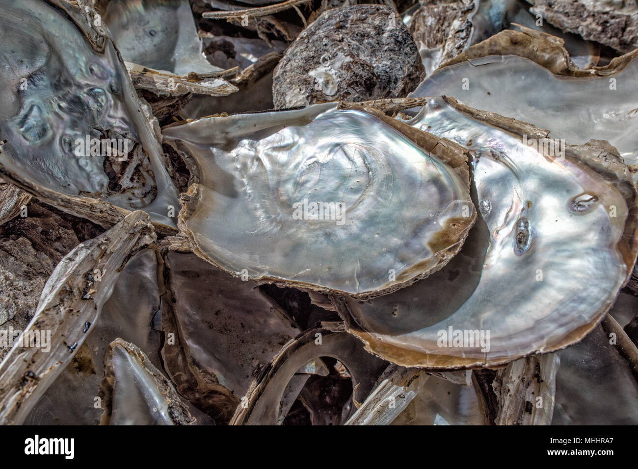 Cultured pearls natural hi-res stock photography and images - Alamy