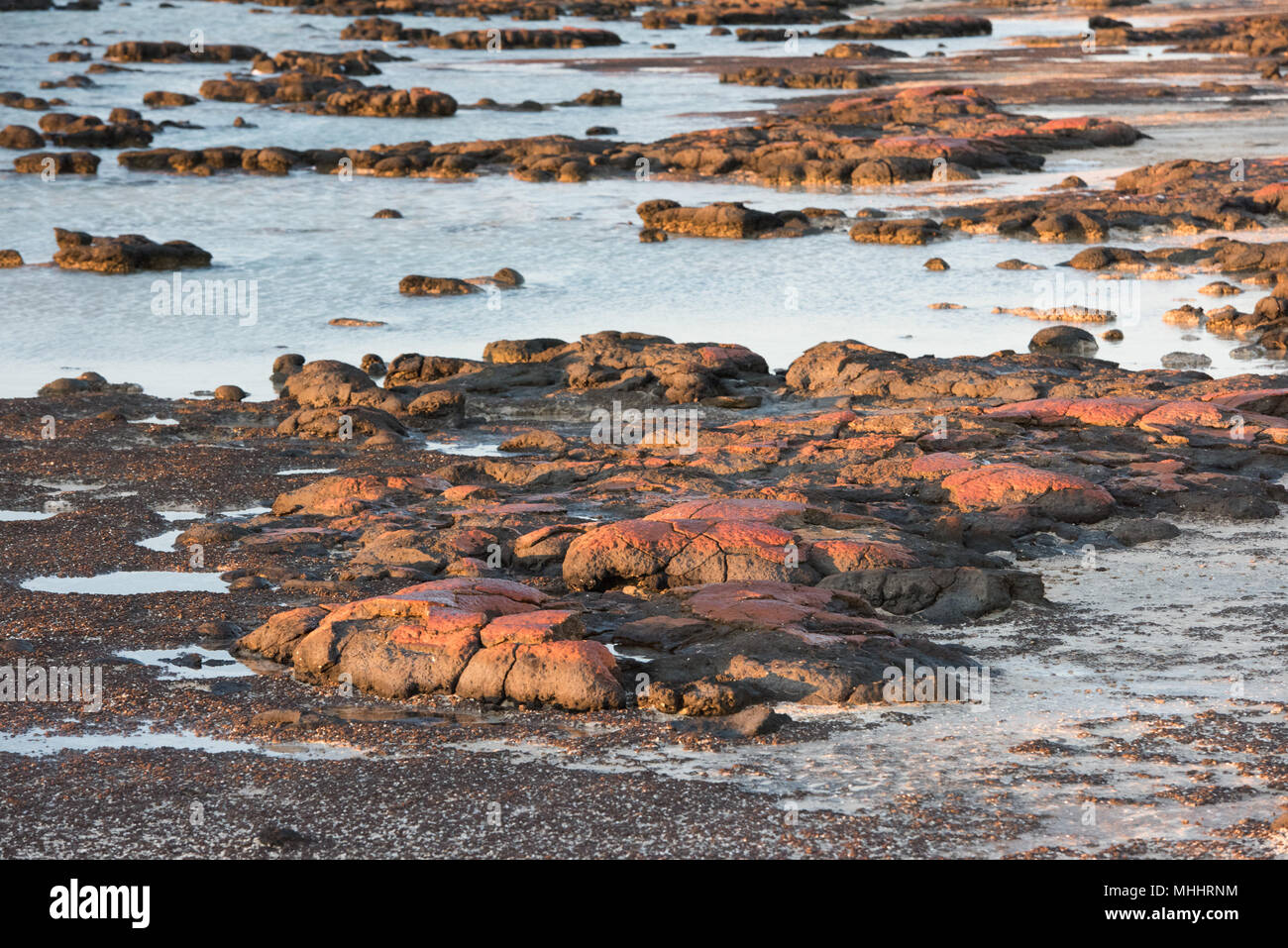 Stromatolite fossil australia hi-res stock photography and images - Alamy