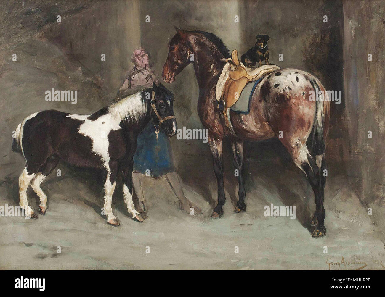 Georg arsenius hi-res stock photography and images - Alamy