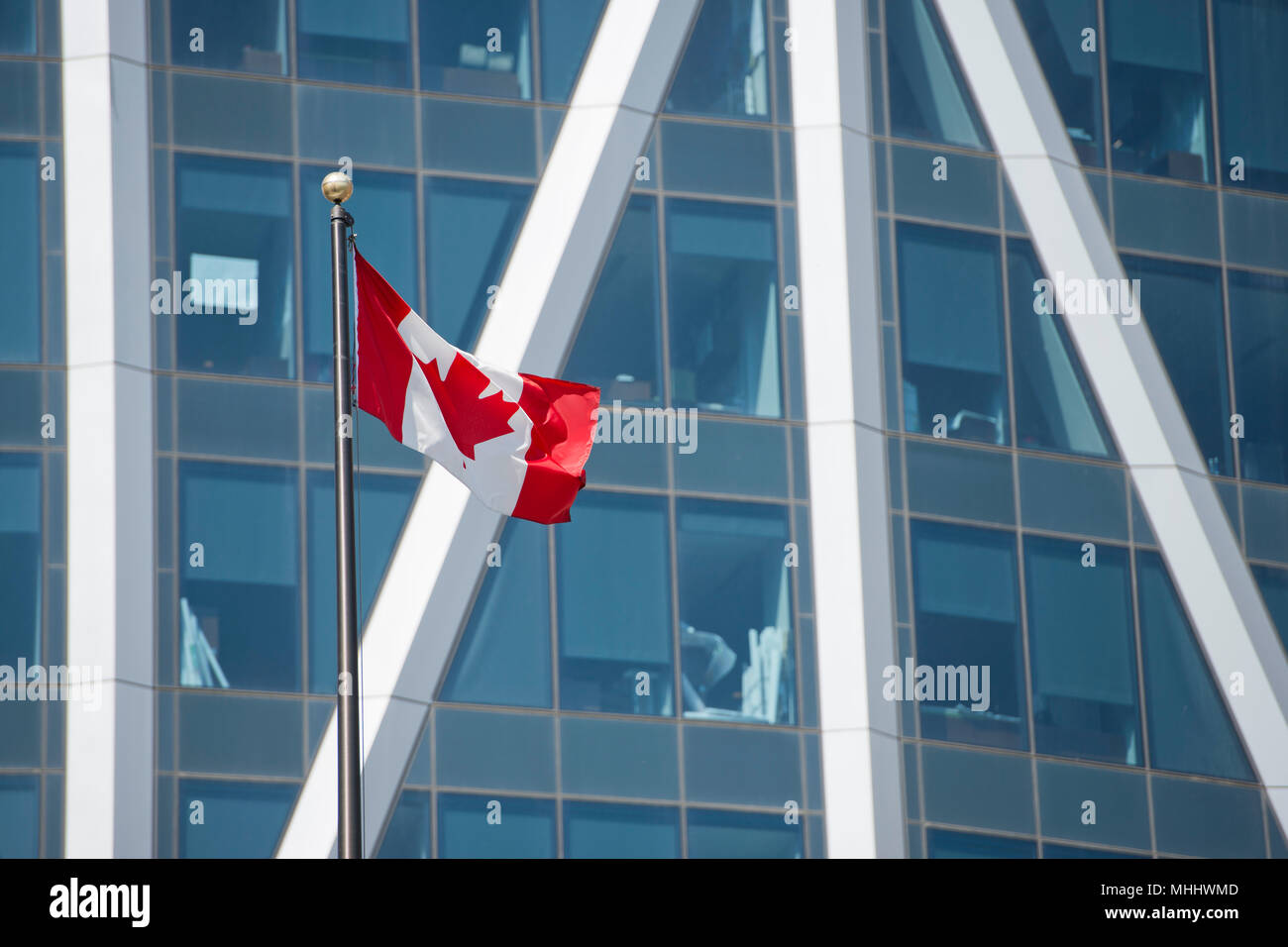 Canadian flag on calgary building background Stock Photo - Alamy