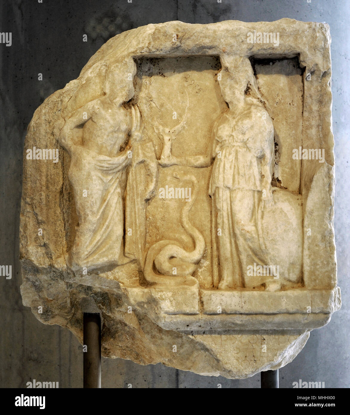 Athena Snake High Resolution Stock Photography and Images - Alamy