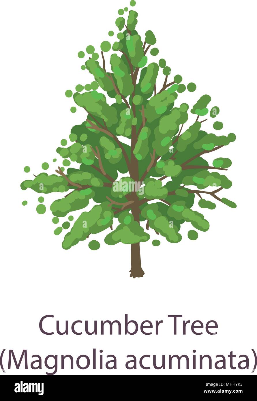 Cucumber tree icon, flat style Stock Vector Image & Art - Alamy