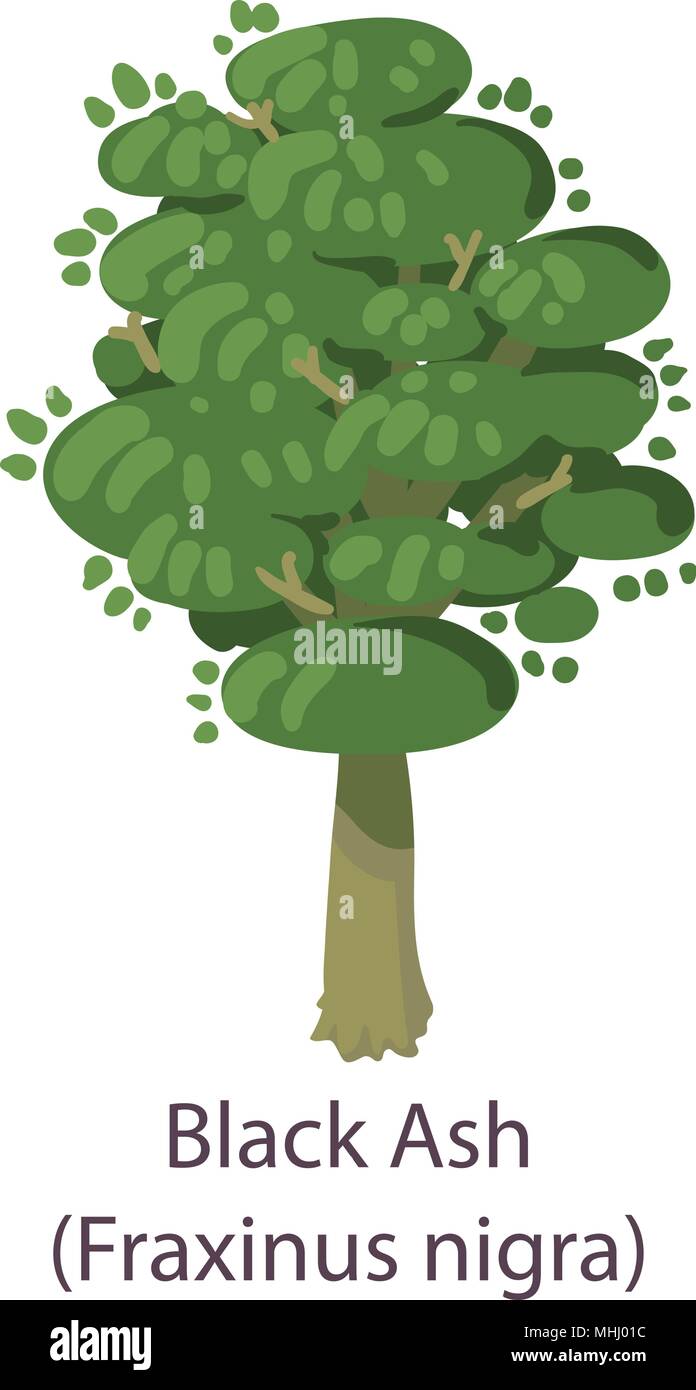 Black ash icon, flat style Stock Vector Image & Art - Alamy