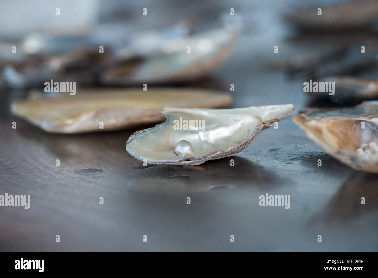 Factory of pearls hi-res stock photography and images - Alamy