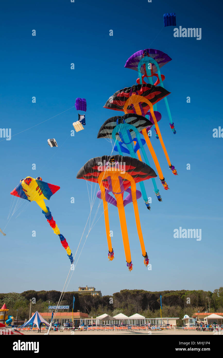 Manta tourism hi-res stock photography and images - Alamy