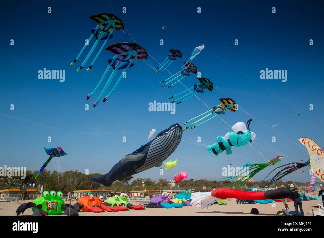 Many colorful kites in different shapes at Cervia international kite ...