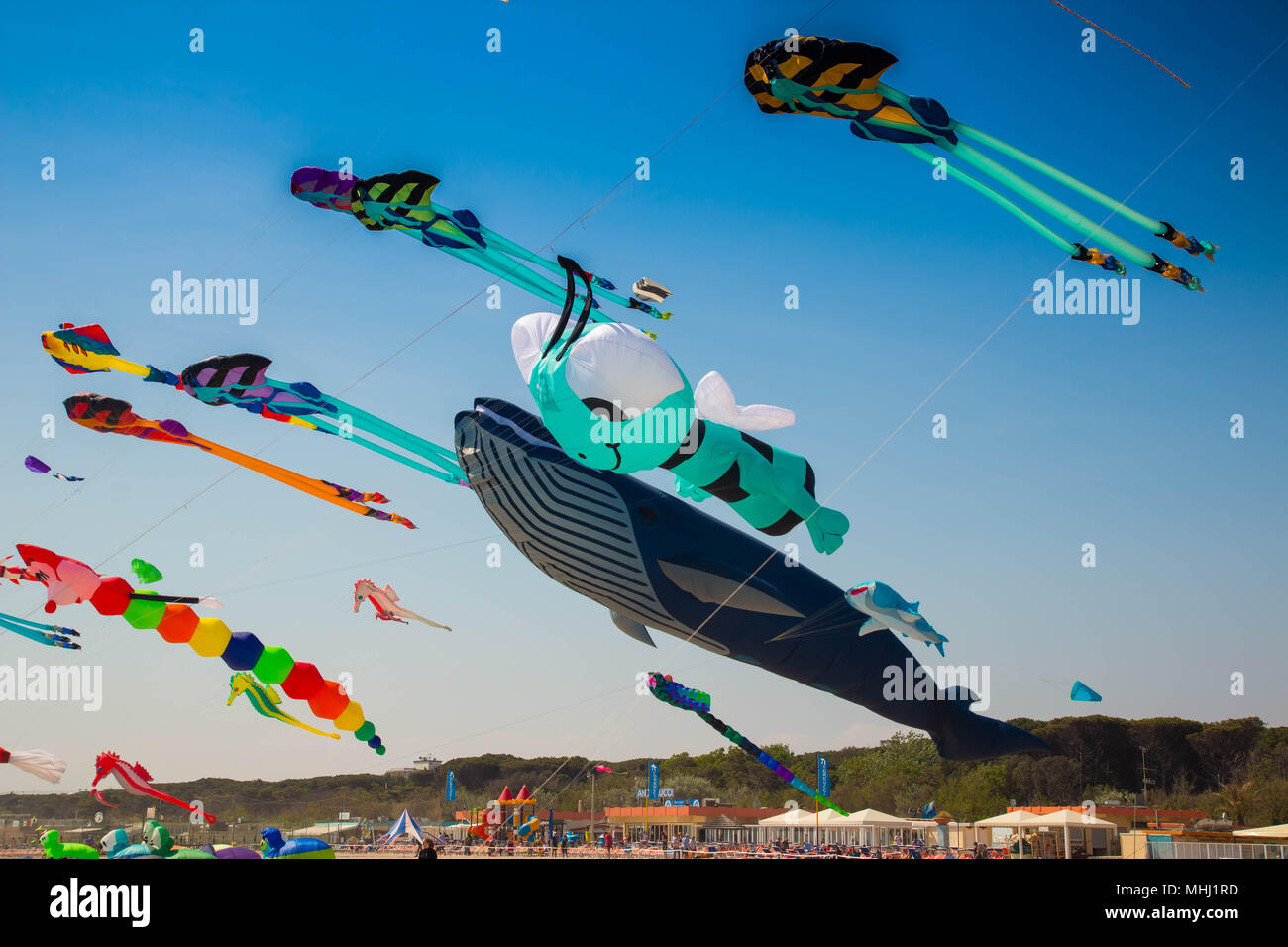 Kites Competition High Resolution Stock Photography and Images - Alamy