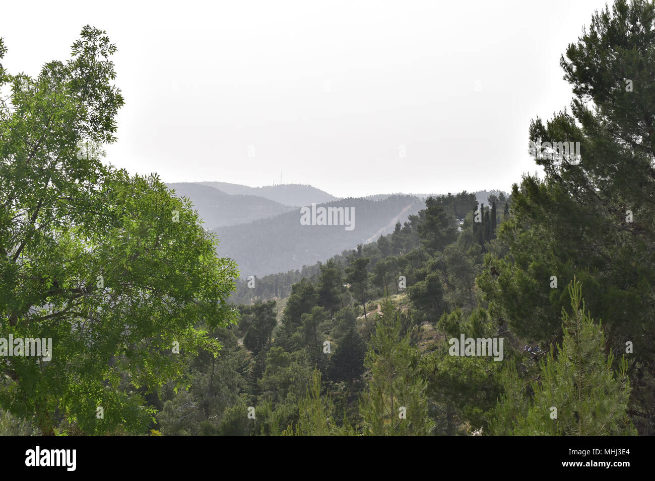 Jerusalem mountains hi-res stock photography and images - Alamy