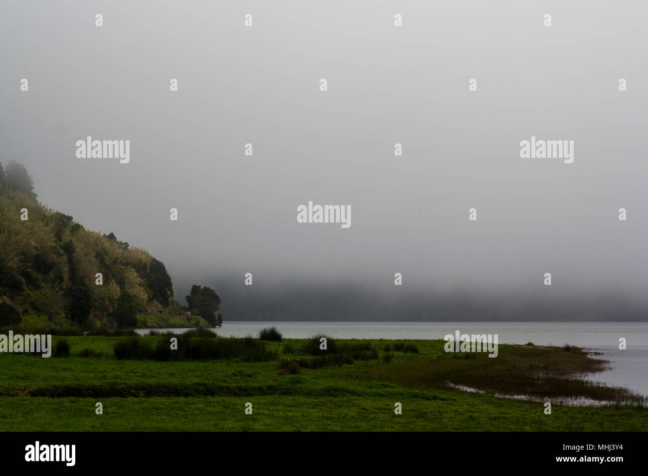 Landscape with fog in the forest lake Stock Photo - Alamy