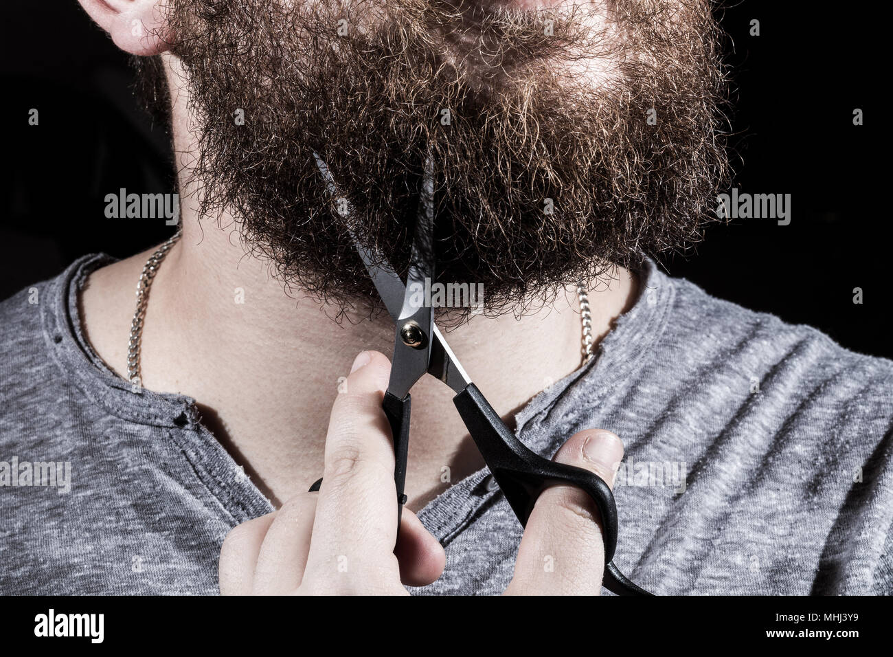 man cuts his beard with scissors, photo close-up on a black background ...