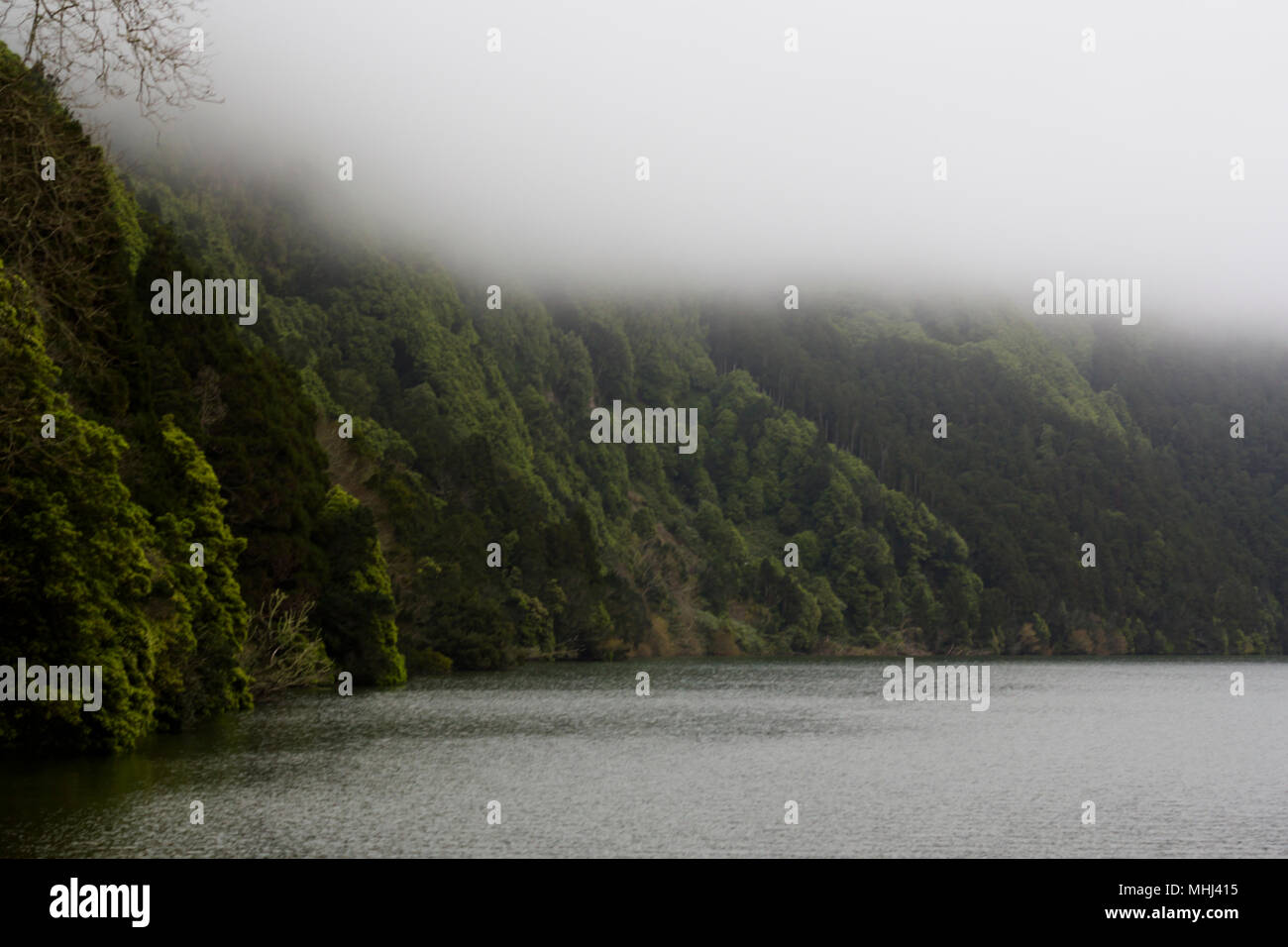 Misty lake hi-res stock photography and images - Alamy