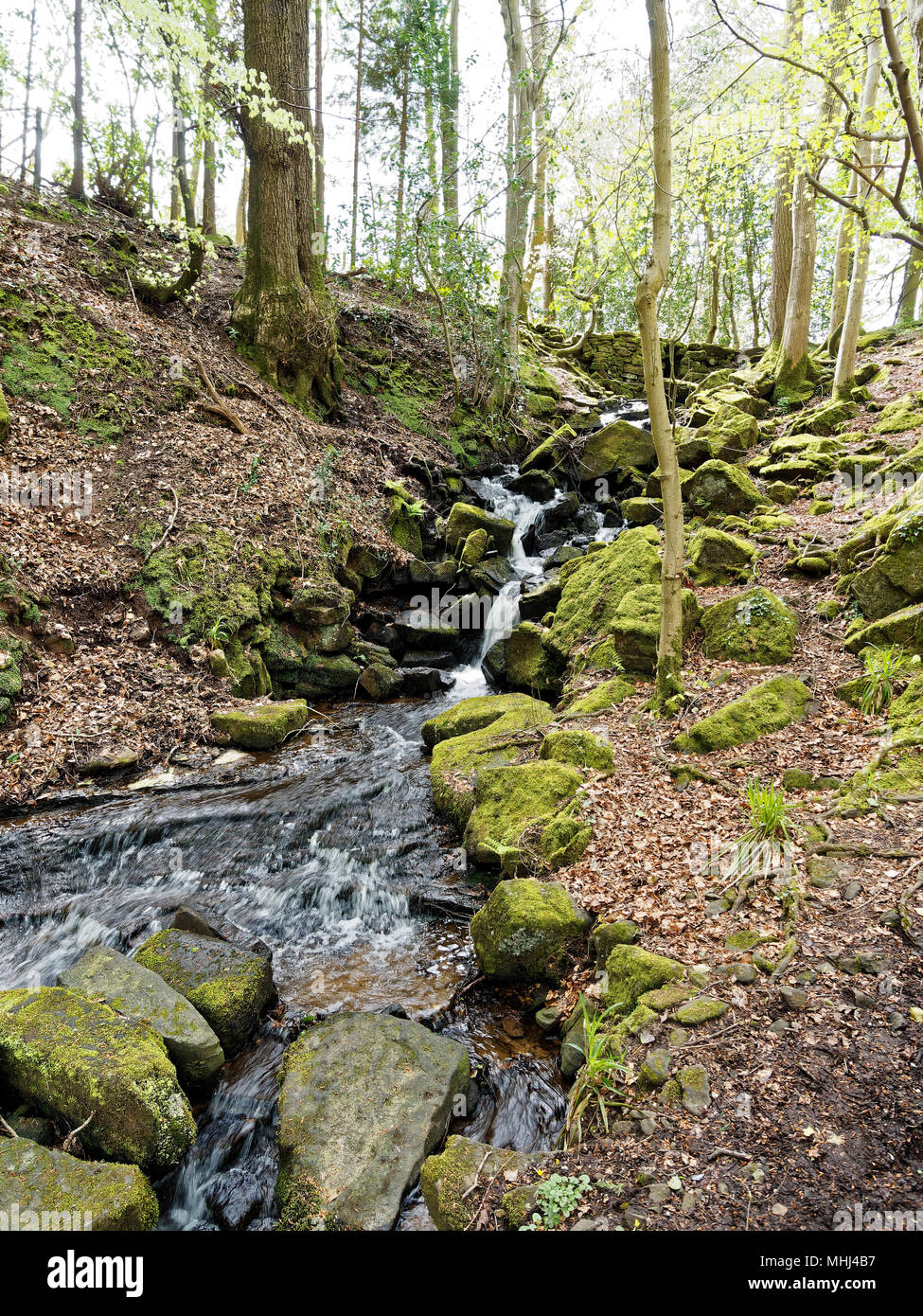 Cleddon falls hi-res stock photography and images - Alamy