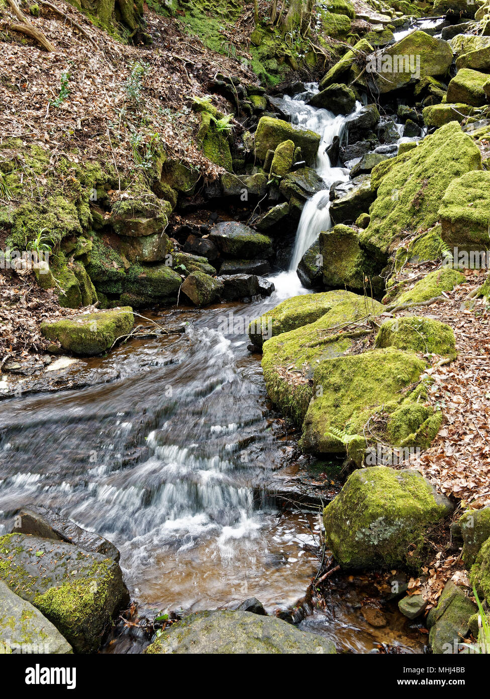 Cleddon Falls, Nr Llandogo, Monmouthshire. UK Stock Photo - Alamy