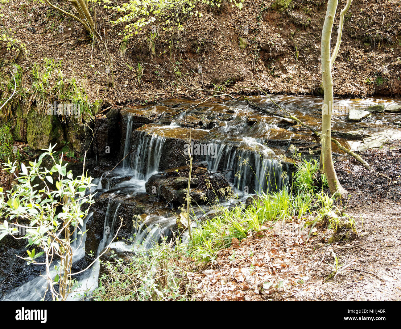 Cleddon falls hi-res stock photography and images - Alamy